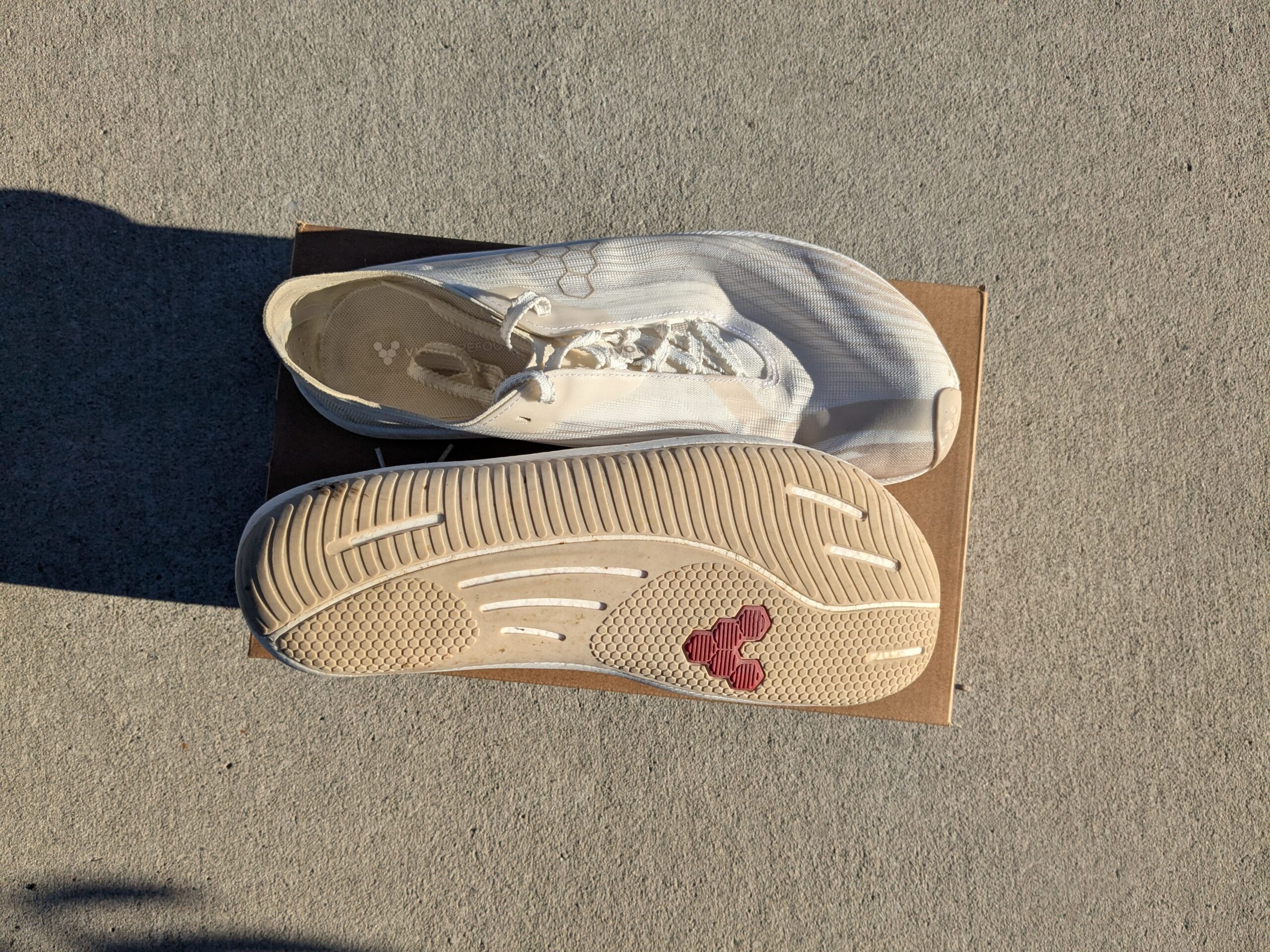 Best Barefoot/Minimalist/Zero-Drop Road Shoes 2025 - Barefoot Run Review